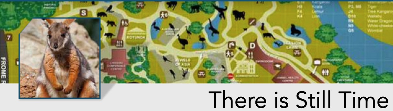 Portfolio | Mobile Adventures Australia